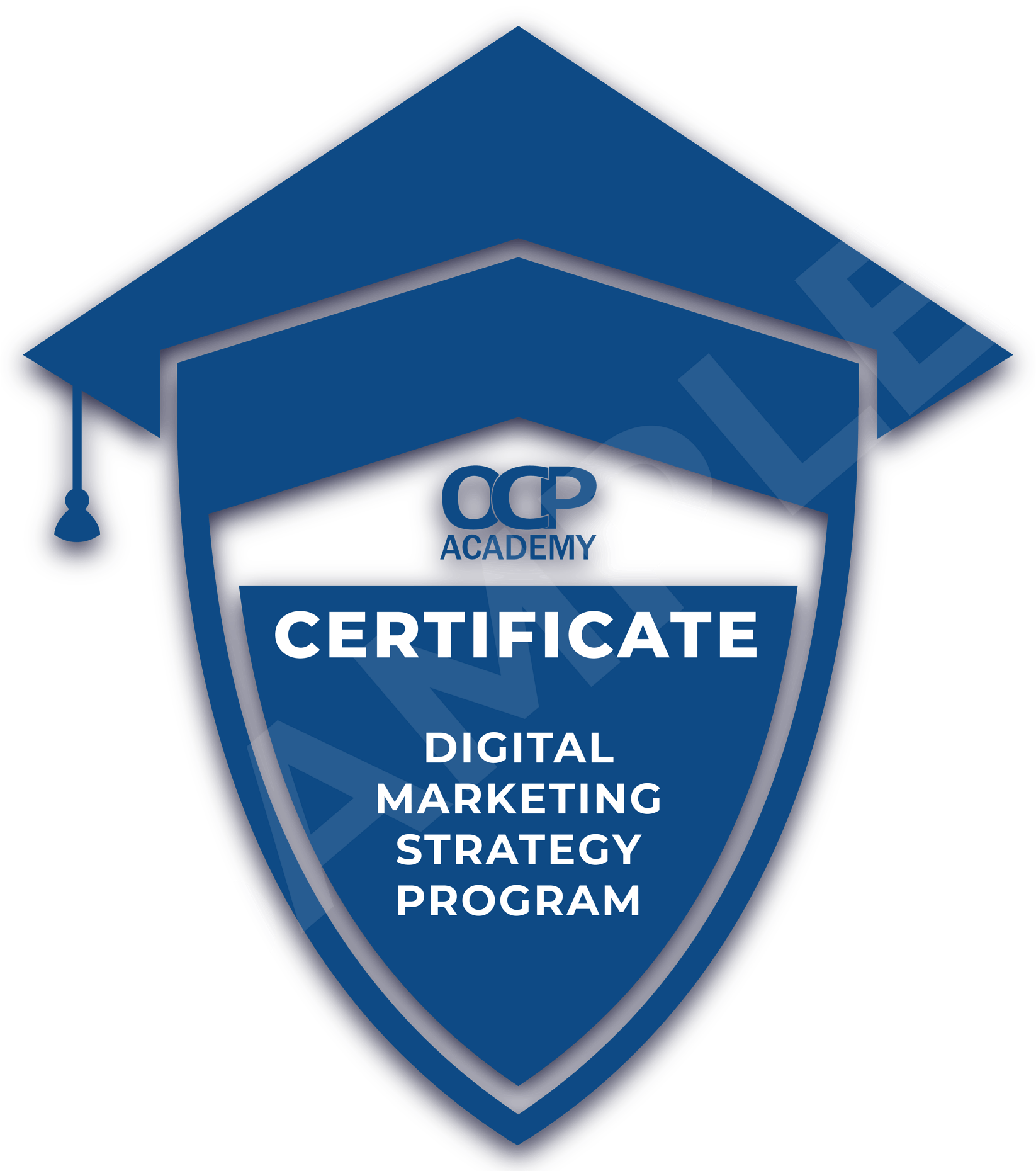 OCP Academy Brings the Best Digital Marketing and Strategy Course ...
