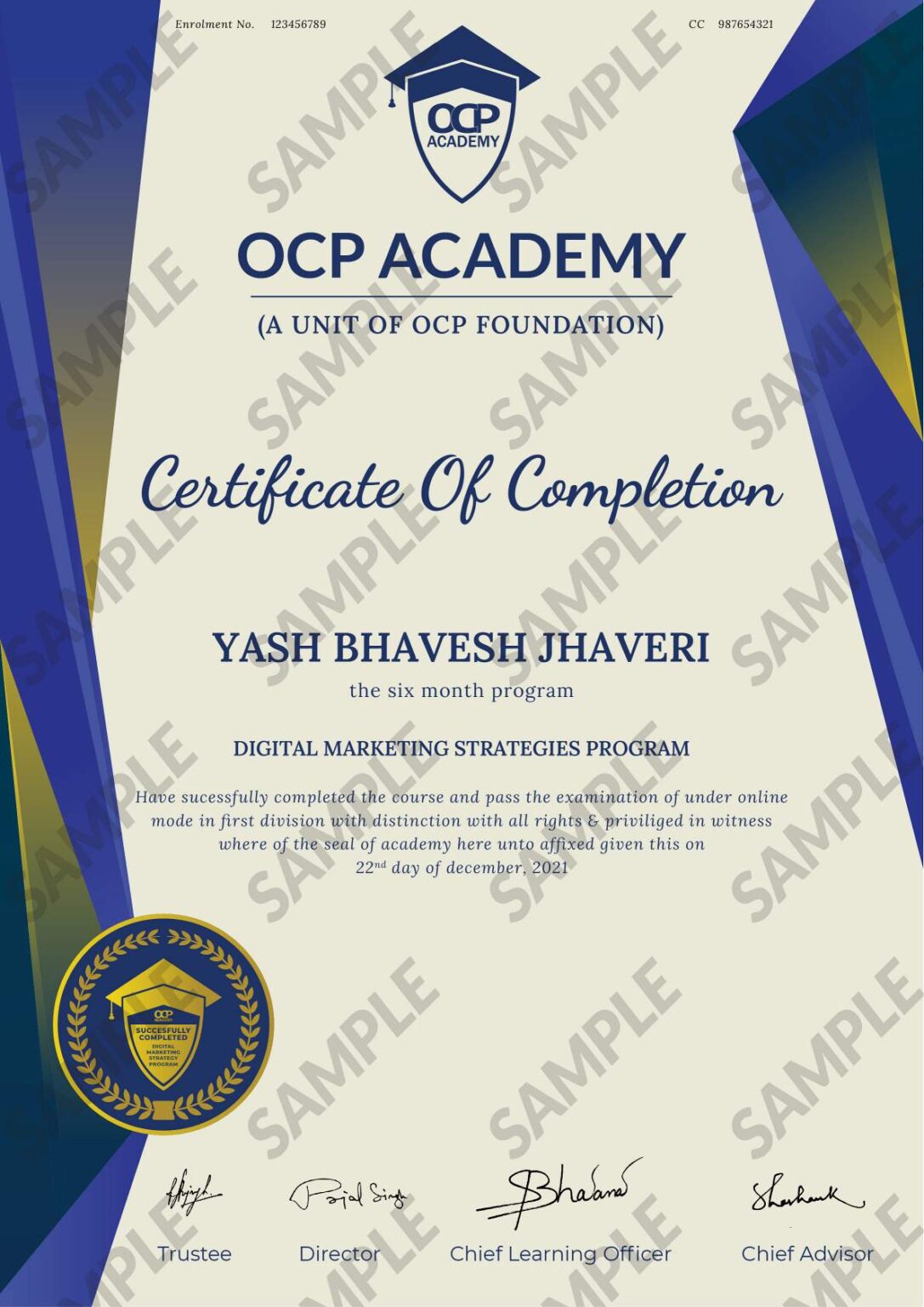 OCP Academy Brings the Best Digital Marketing and Strategy Course ...